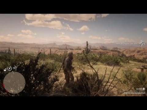 Défi Grand chasseur rang 6 RDR2 - Couguar Kill Epic - YouTube