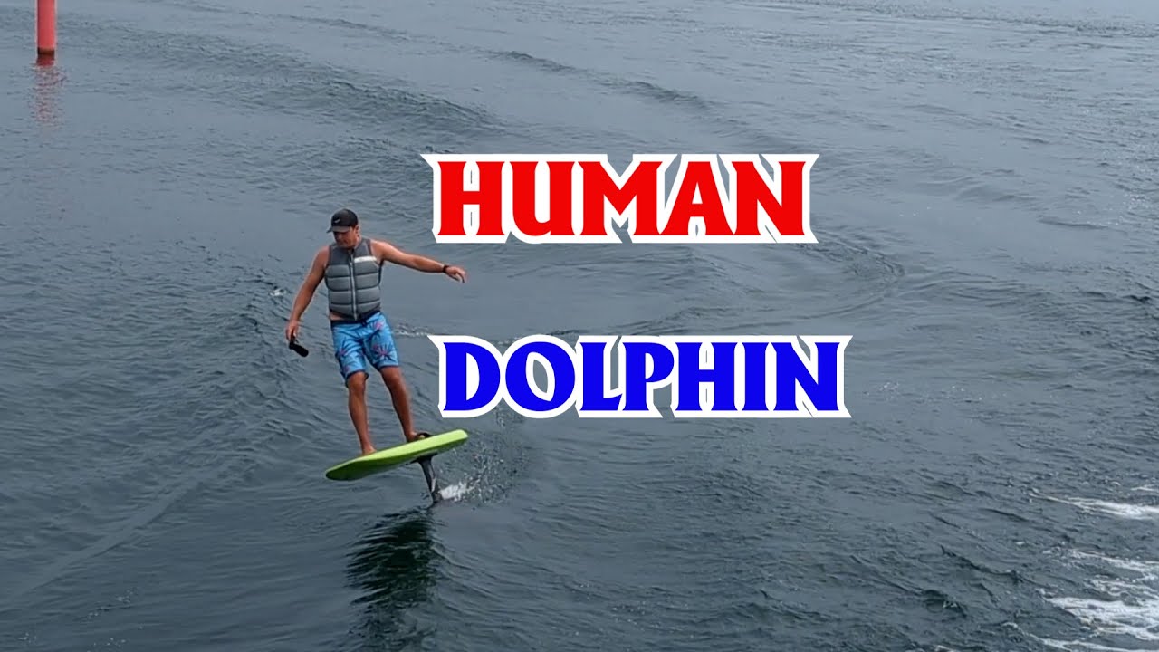 HUMAN DOLPHIN - FIRST TIME I SEE - YouTube