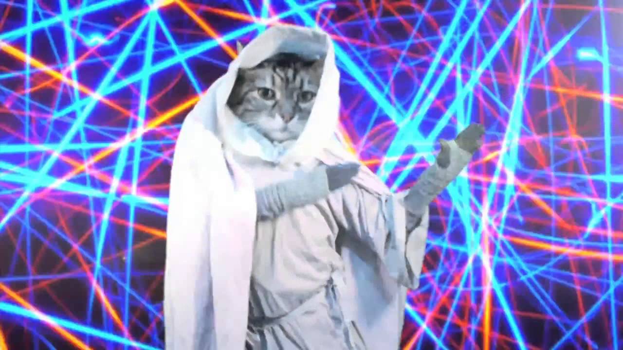4 Hour Rave Cat Youtube