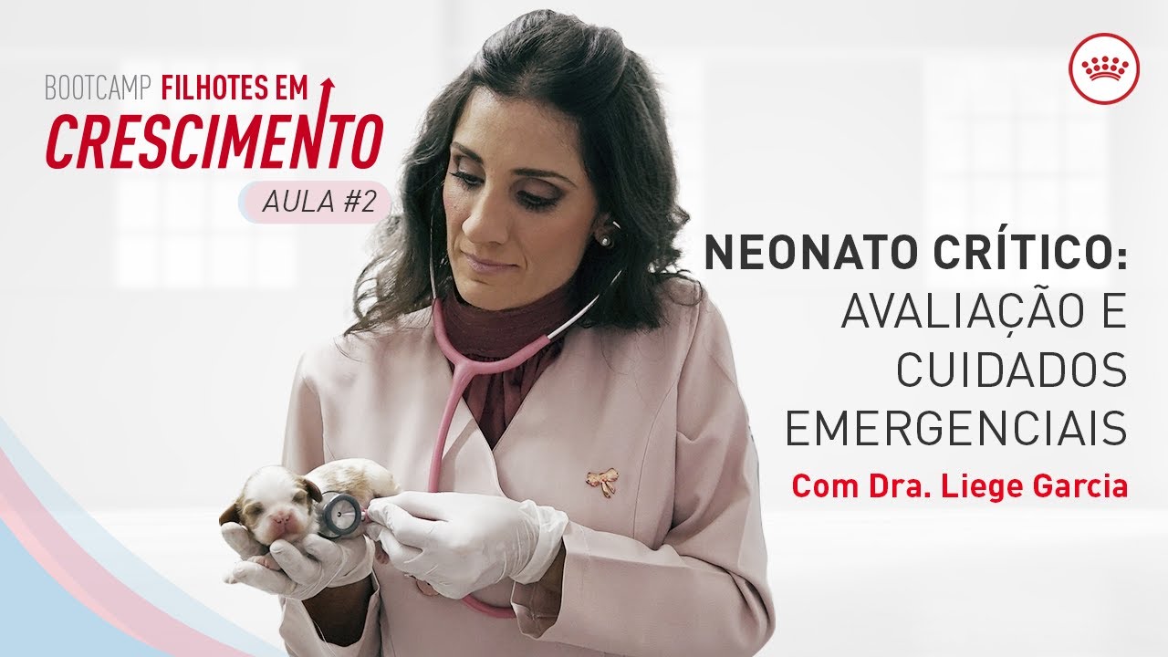 BOOTCAMP FILHOTES EM CRESCIMENTO | Aula 2 - Neonato crítico: avaliação ...