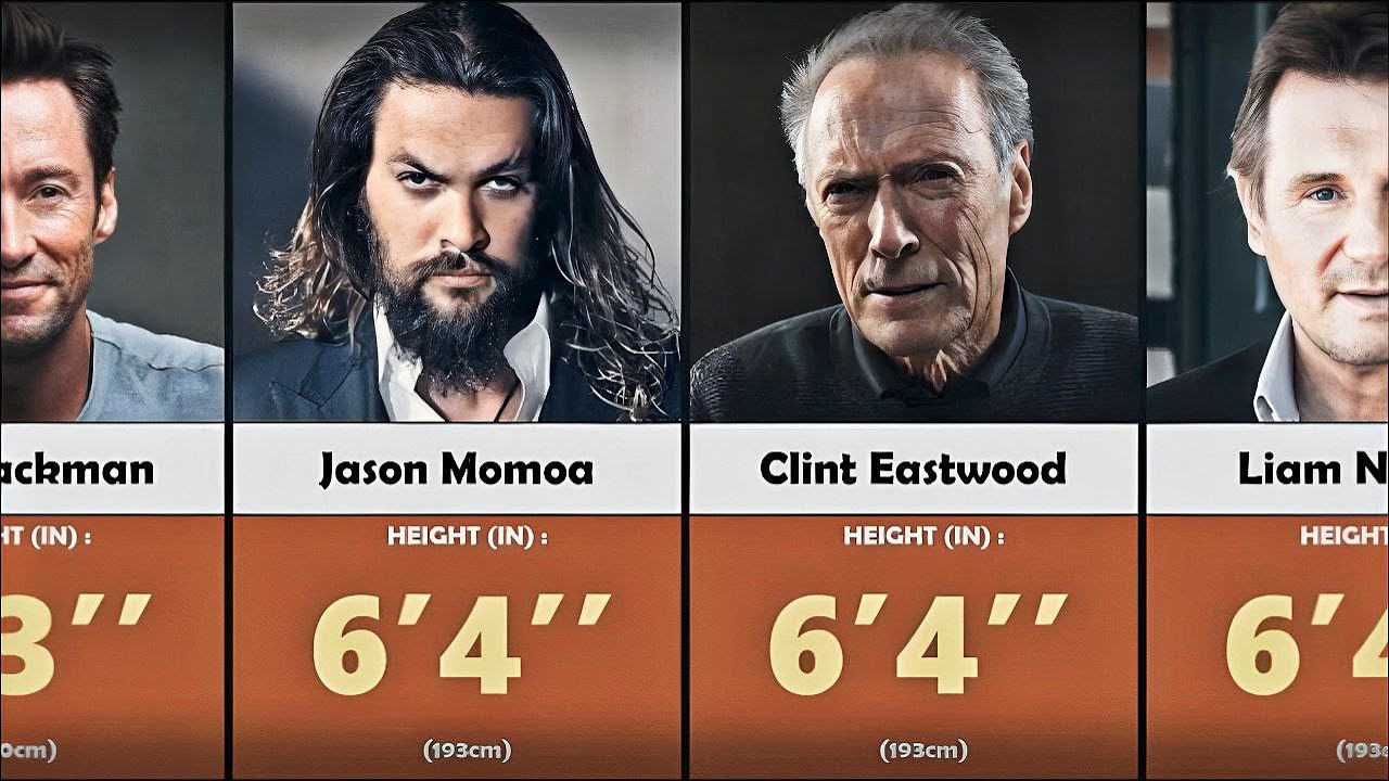 Heights of Hollywood Actors Live - Full Data - YouTube