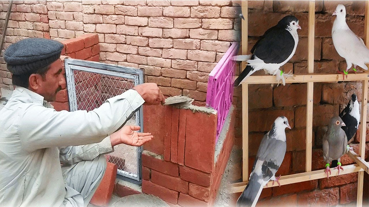 How to make a pigeon house in a beautiful and new style - YouTube