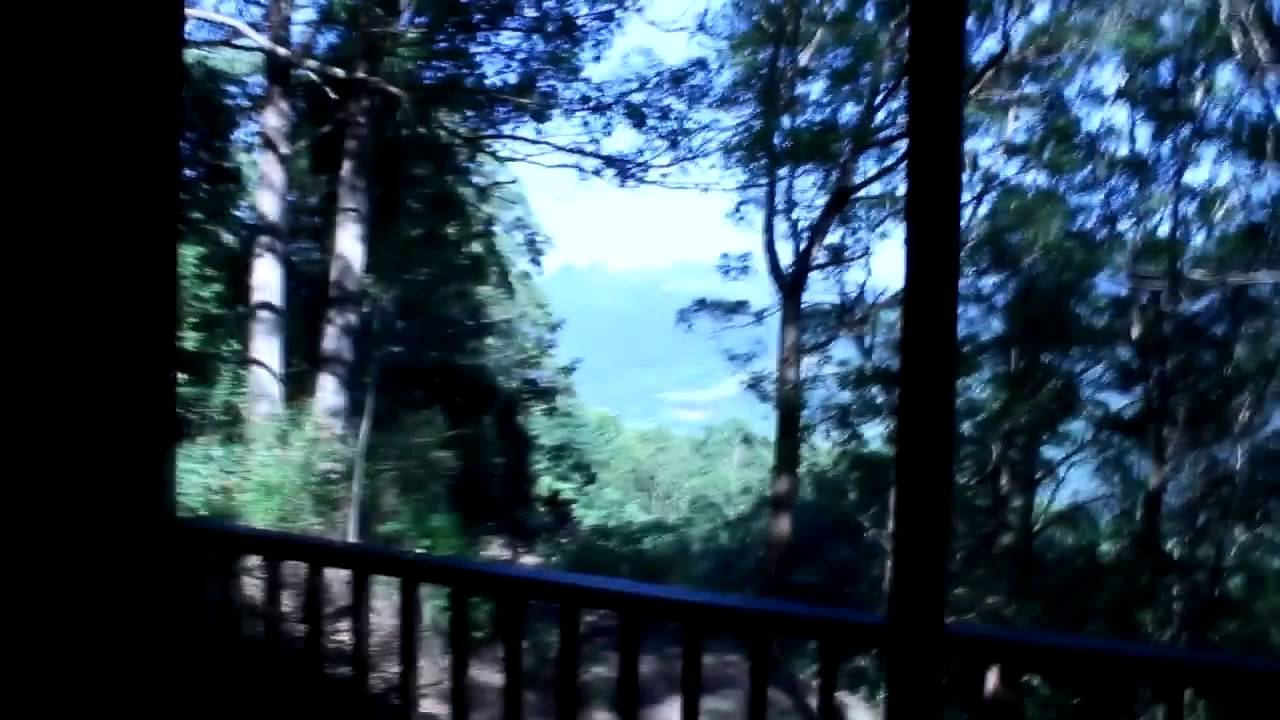 The Officially Unofficial Vaguely Human Promo Clip (Space Dog Lost ...