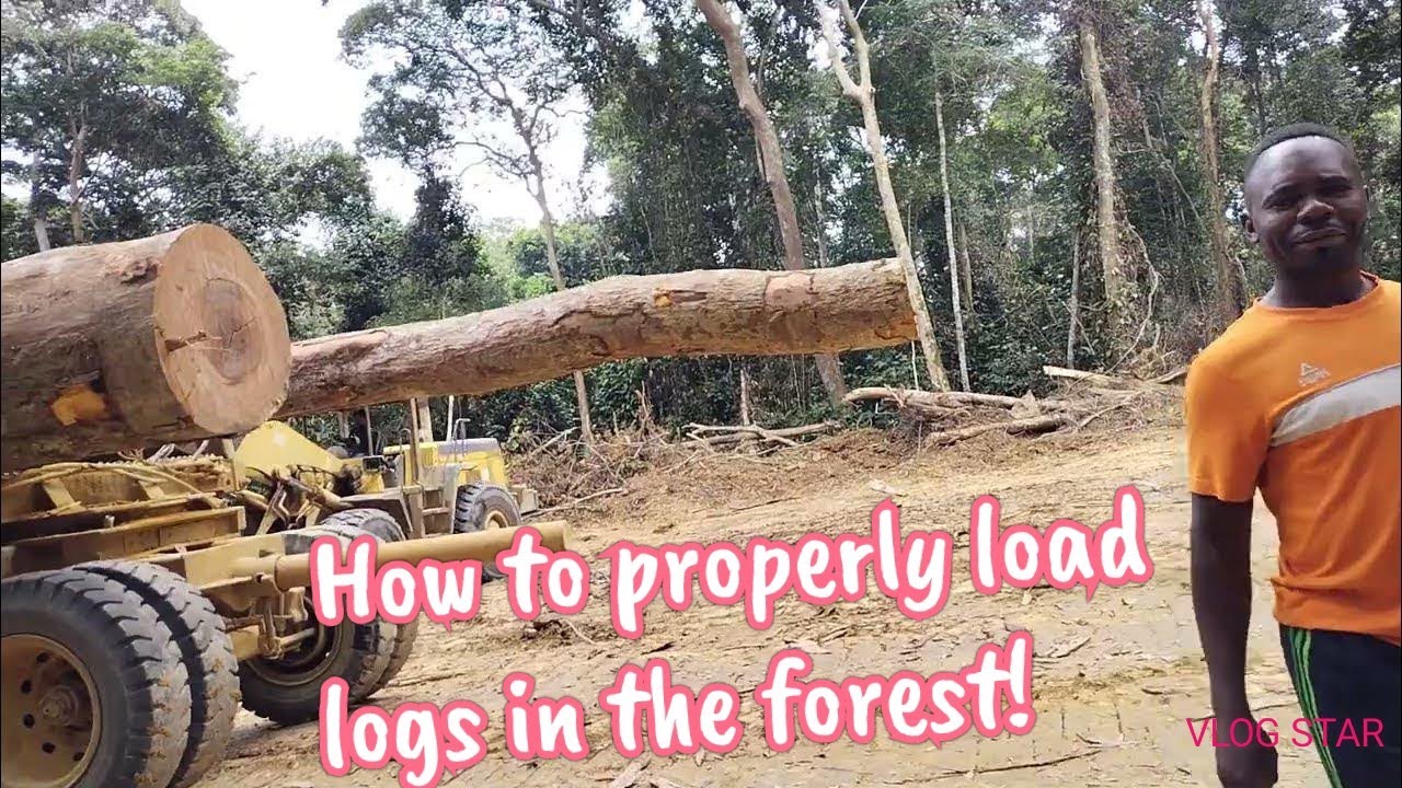 How to properly load logs in the forest #logging #logging - YouTube