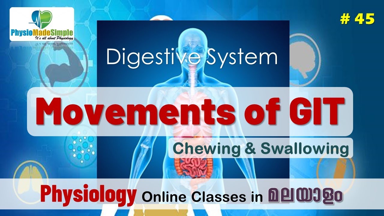 Ep.45 | Movements of GIT | Chewing & Swallowing #humanphysiology #malayalam #digestivesystem ...