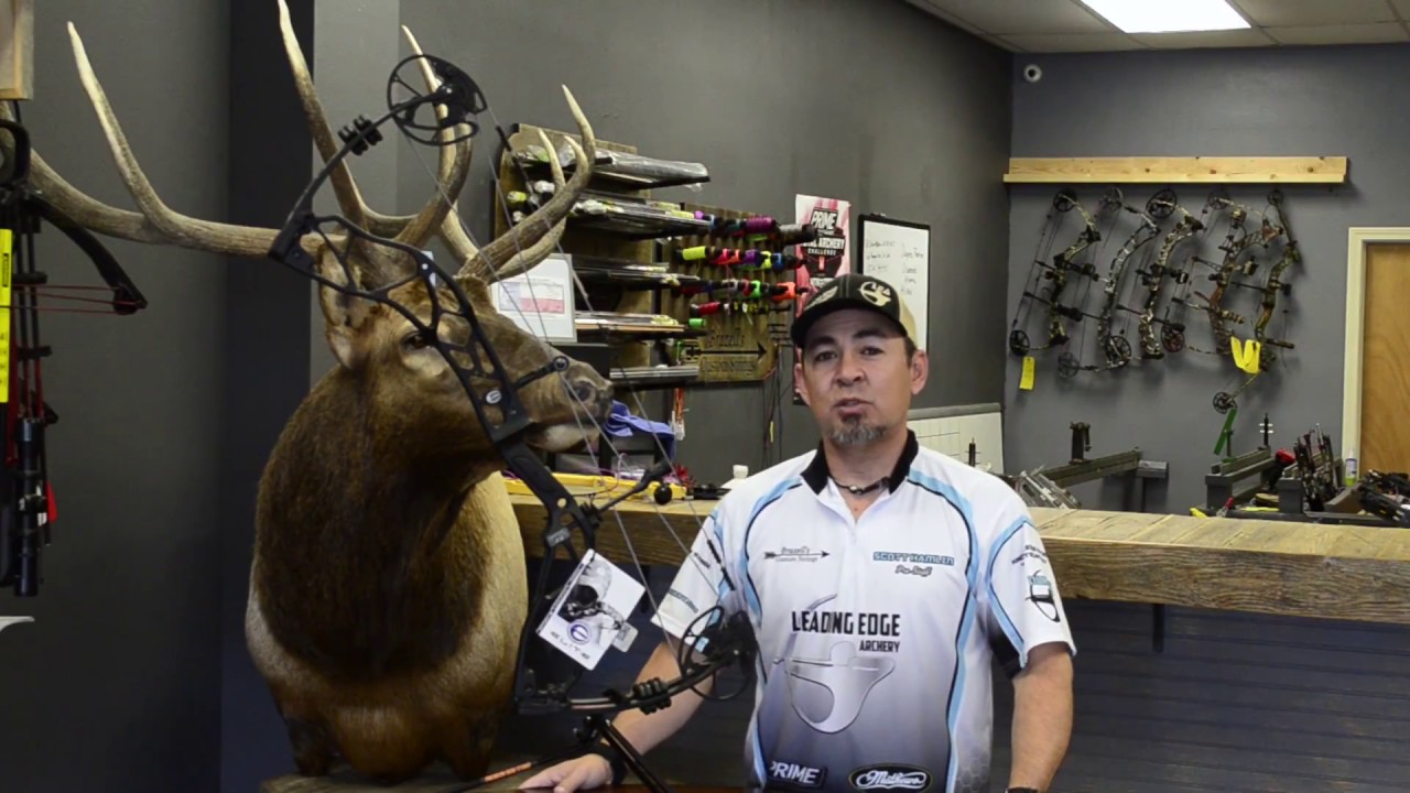 Elite Option 6 & Option 7 Bow Review - YouTube