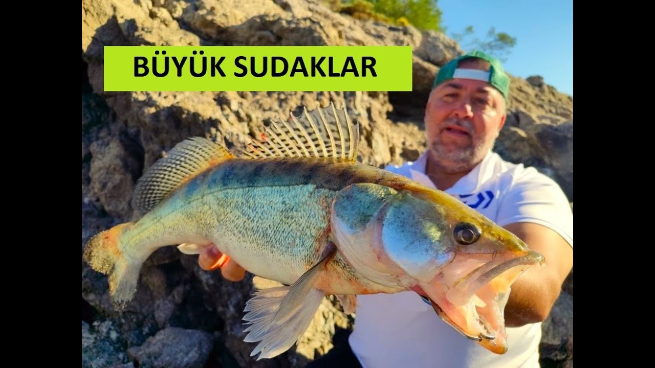 TÜRKİYE REKORU DEV SUDAK AVLARI !!! - YouTube