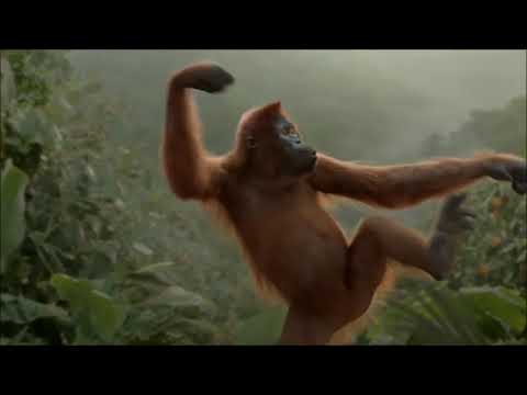 New BUDOT dance 2021 [Monkey]