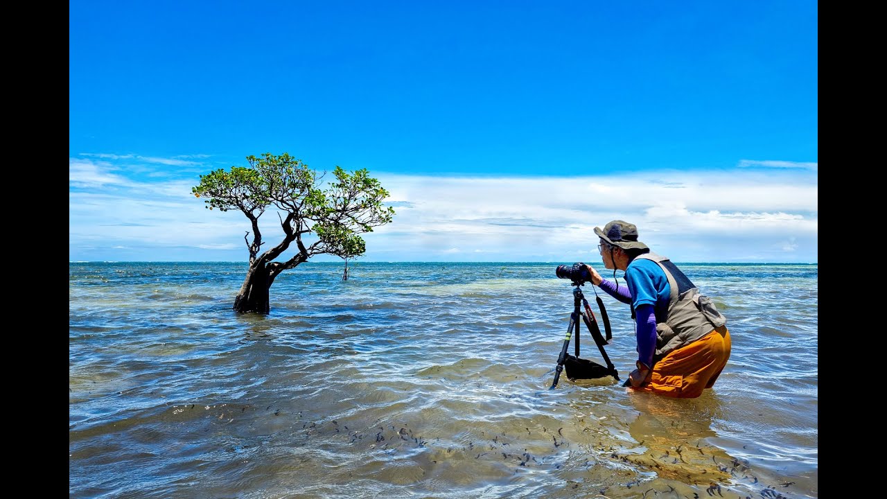Walakiri beach/Mangrove/Sumba Travel- snap shot collection - YouTube
