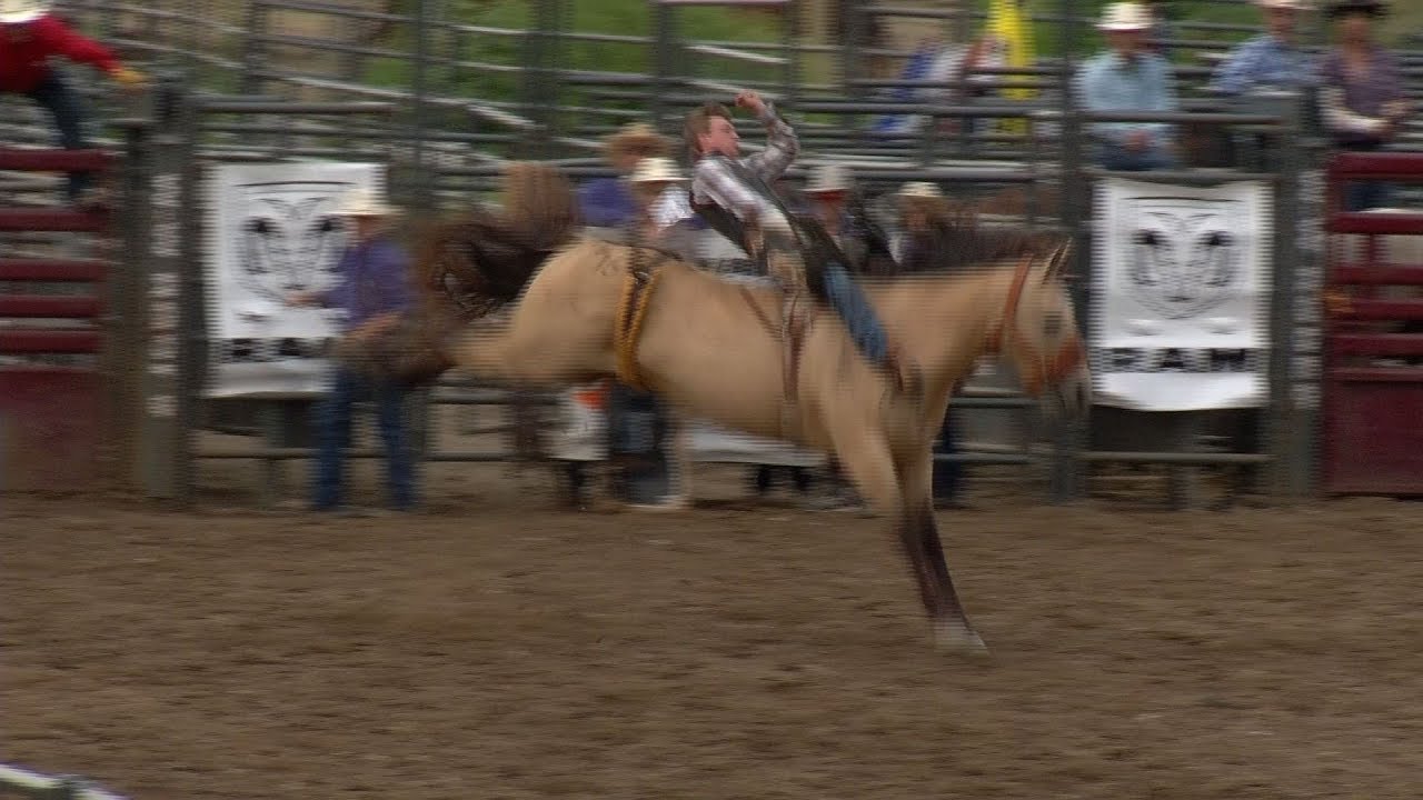 Hamel Rodeo Highlights - YouTube