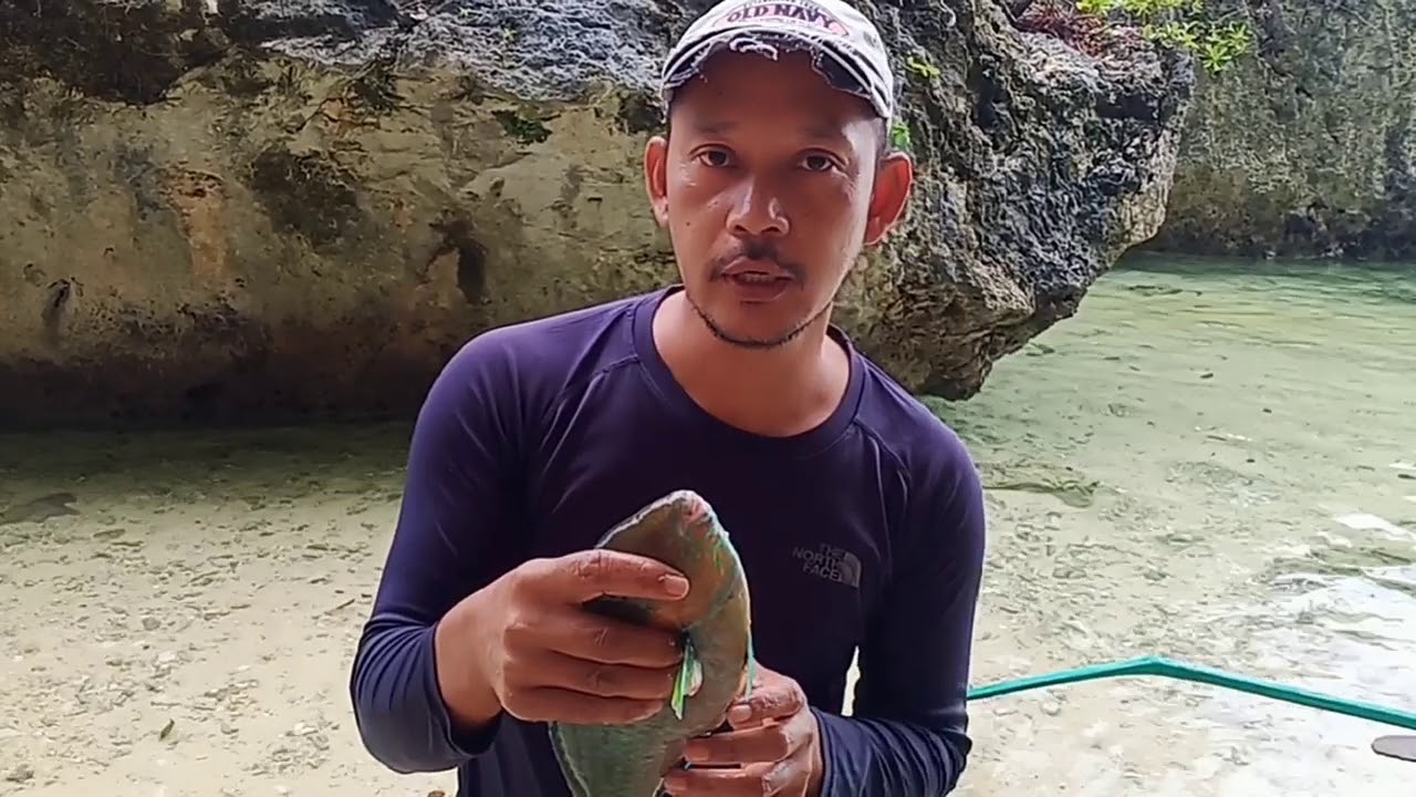 Parrot Fish,Yapot,Bunhak,endanger Fish - YouTube