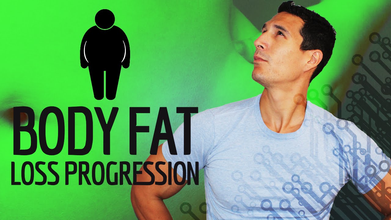 Body Fat Loss Progression & New Fitness Program - YouTube