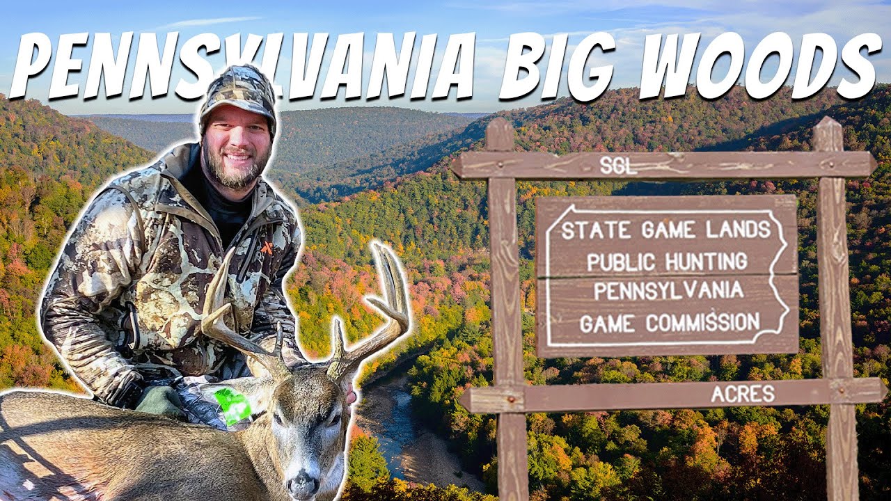 Pennsylvania Public Land Hunting: What Went Wrong with Aaron Hepler ...