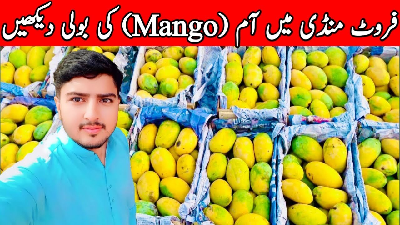 Desi Mango 🥭 price in fruits mandi Hasilpur 2024 | mango price update today | #mangovlog - YouTube