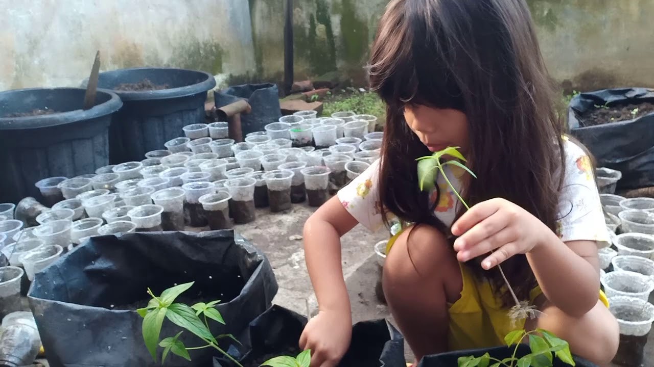 Bunga Liana. Anak Bermain di Taman - YouTube