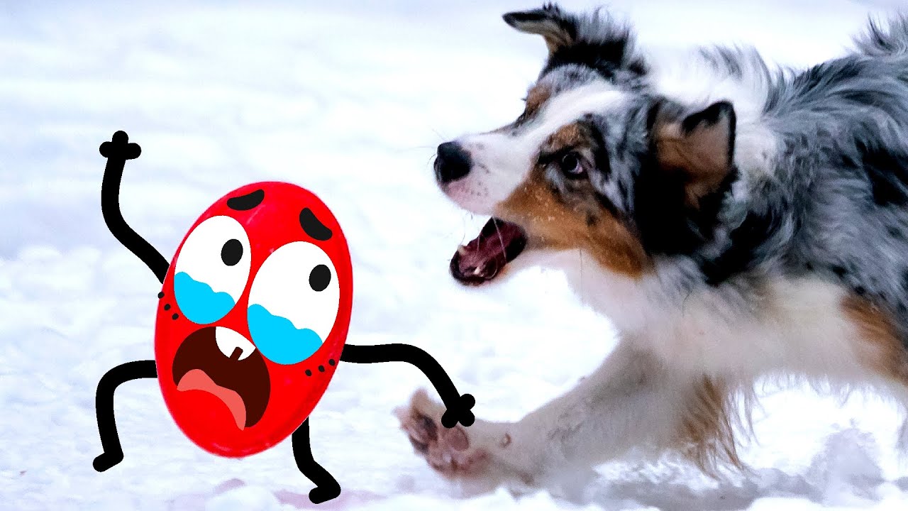 BRAVE FRUITS AGAINST SUPERHERO VEGGIES. WHO IS THE BEST?! - 24/7 ...