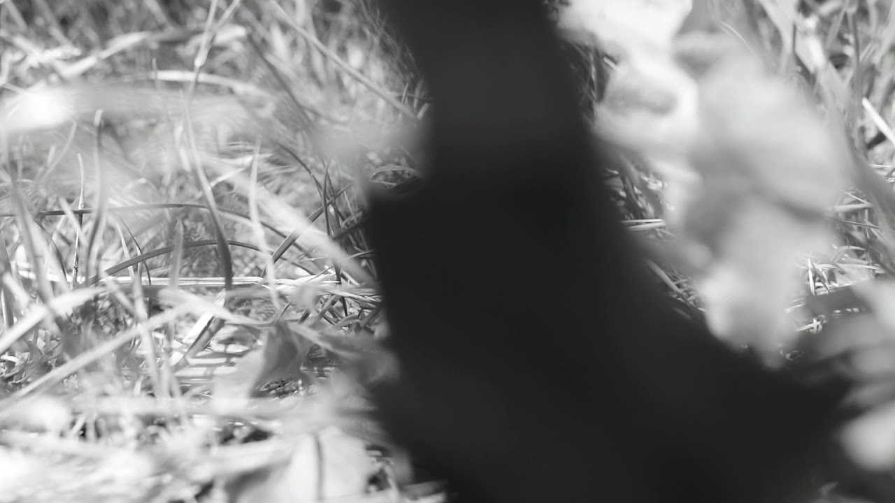 Steffen Lipski - Plein Air - Franziska Kunath - Skizze 16 - YouTube