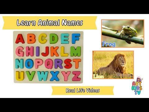 Best Learn ABC Puzzle | Alphabet Animals Puzzle with Videos ...