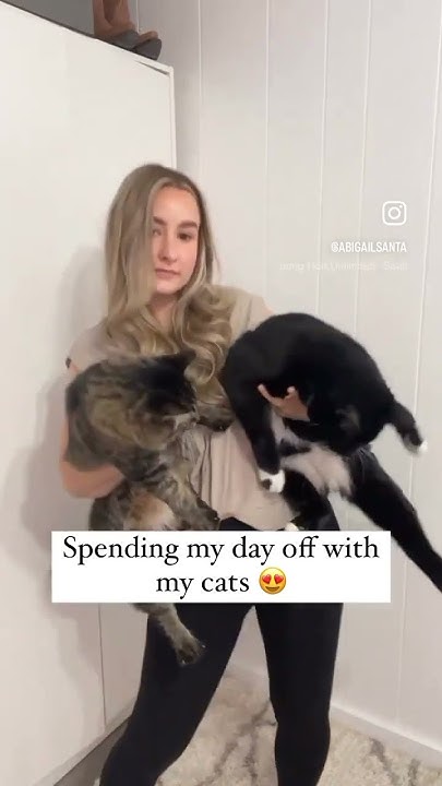 Crazy Cat Lady Youtube