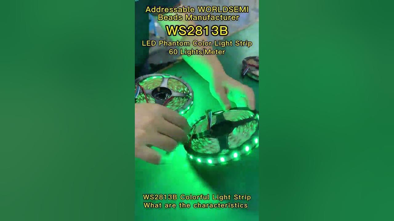 Absolutely you need WS2813 #led #ledlightsfactory#WorldSemi#IC#manufacturer#factory#digitallight ...
