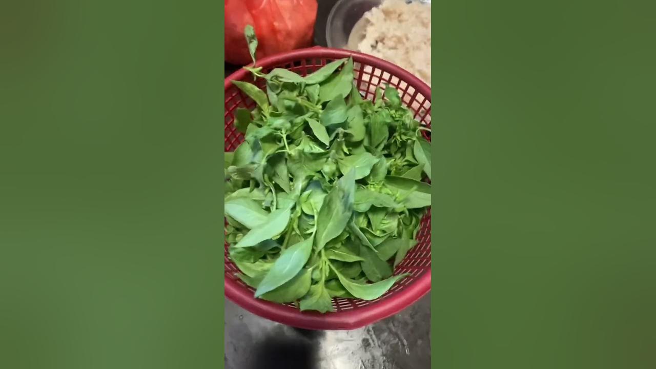 Paginya emak emak cuti di kampung - YouTube