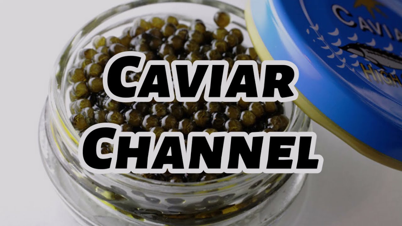 初投稿！Caviar Channel爆誕！！ - YouTube