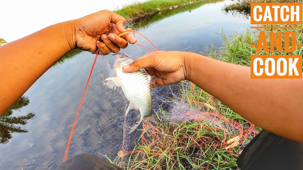 Cara Paling Senang Dapat Ikan,Catch and Cook!! - YouTube