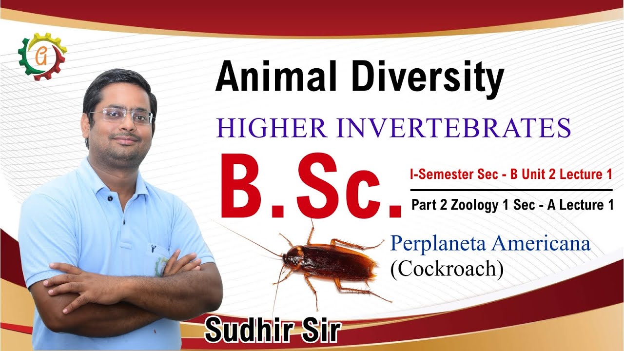Cockroach | Arthropoda | Higher Invertebrates | B.Sc. I-Semester ...