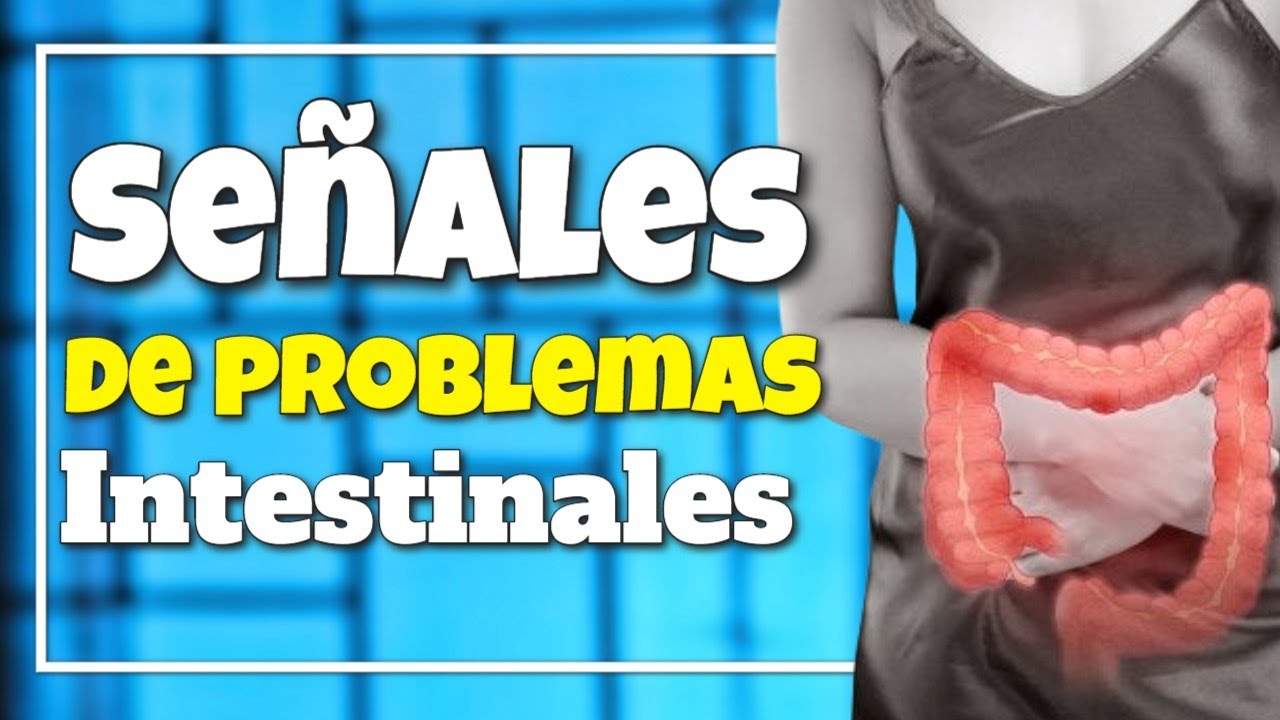Señales De Problemas Intestinales y Su Tratamiento - YouTube