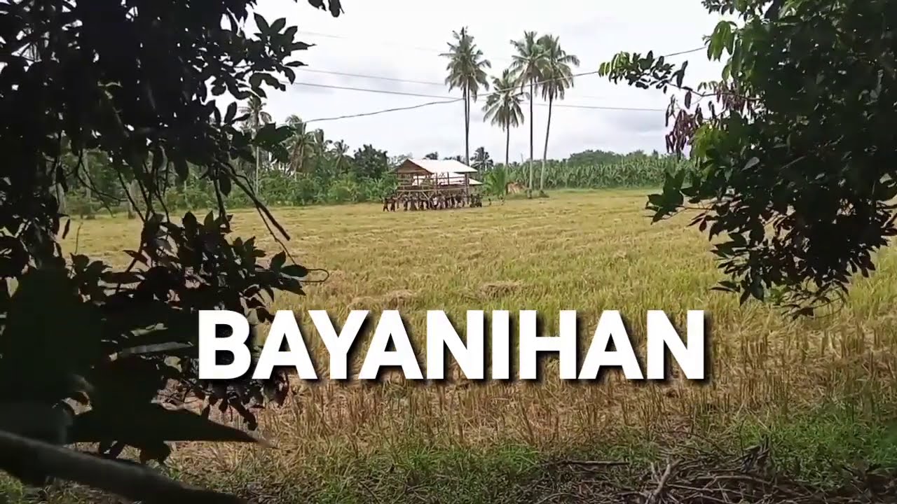 BAYANIHAN FILIPINO SPIRIT TRADITION. - YouTube