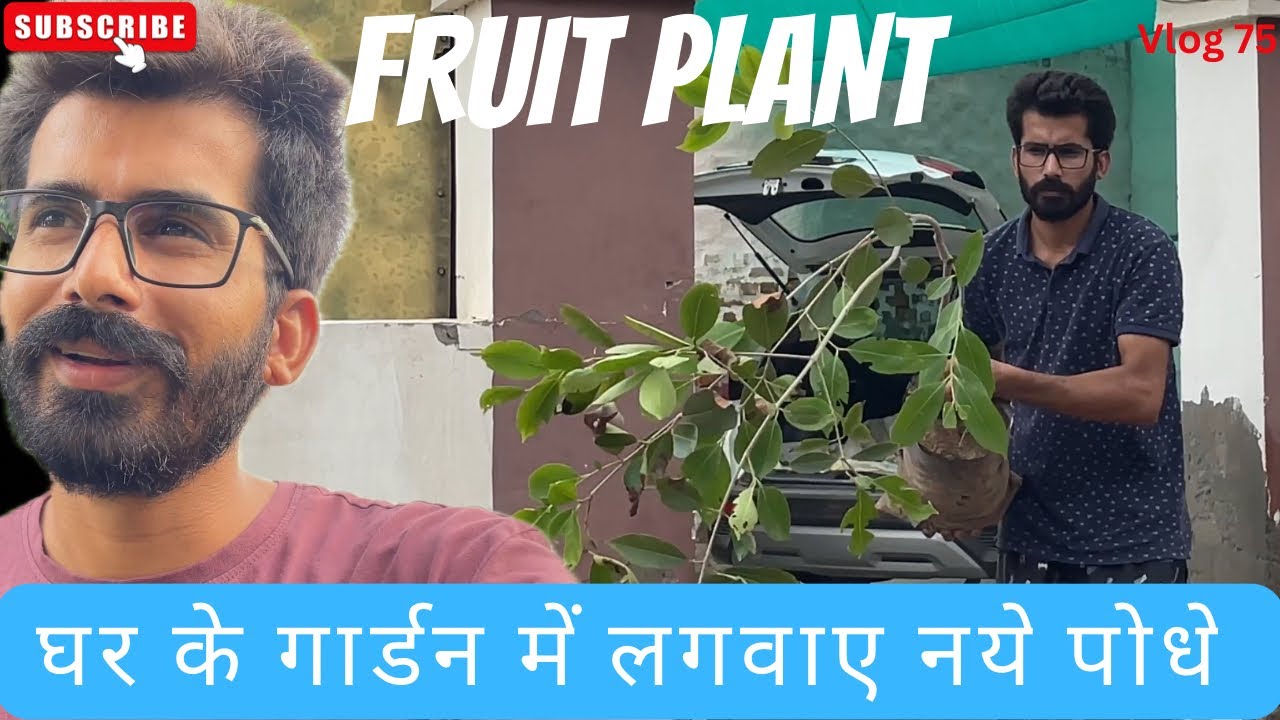 घर के गार्डन के लिये लाये फलदार पोधे । vlog 75 ajay_nain - YouTube