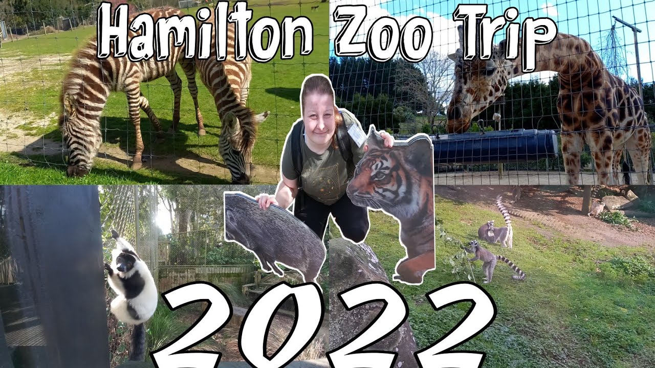 (Vlog: 121) Hamilton Zoo Trip 2022 - YouTube