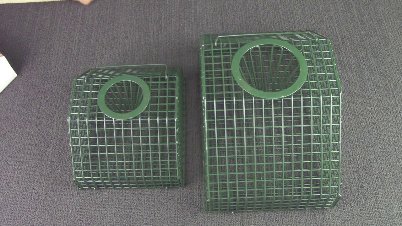 ADVANTEK catch and release rodent trap unboxing review and test - YouTube