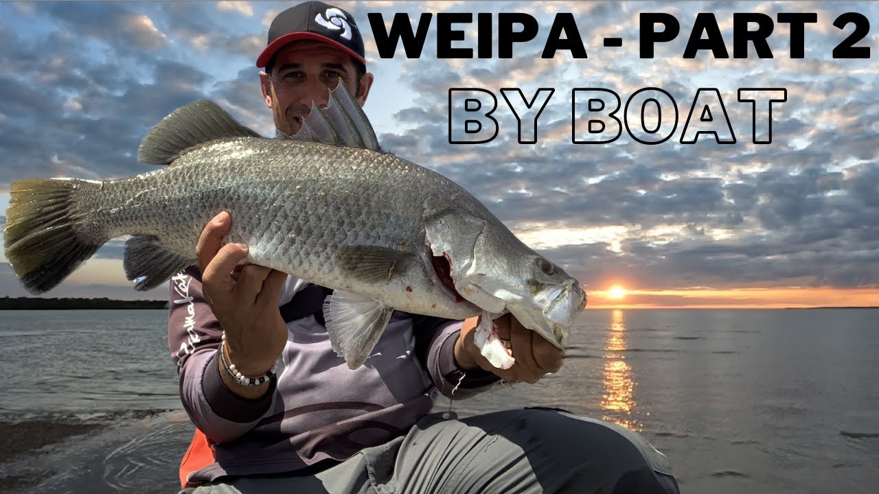 Exploring Weipa by boat...What an amazing fishery! - YouTube
