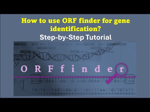 ORF Finder Tutorial: How to Identify Genes in Newly Sequenced Genomes - YouTube