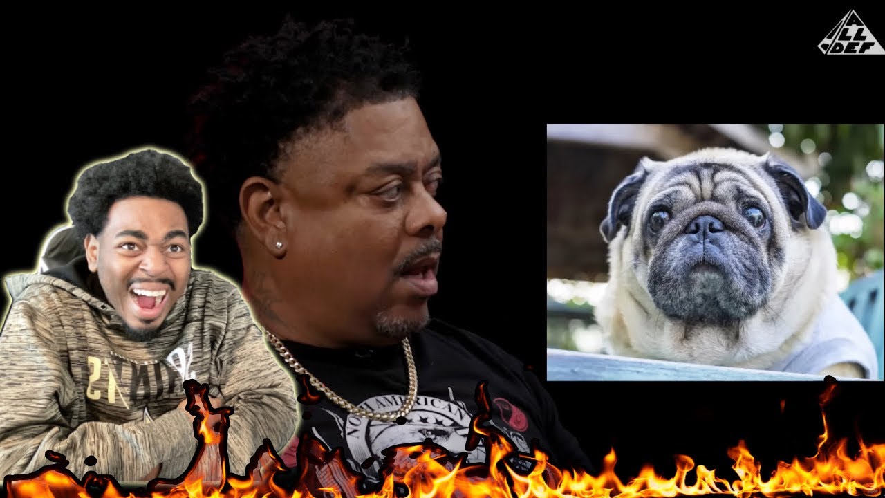 BOO KAPONE MVP - Roast Me Elimination - YouTube