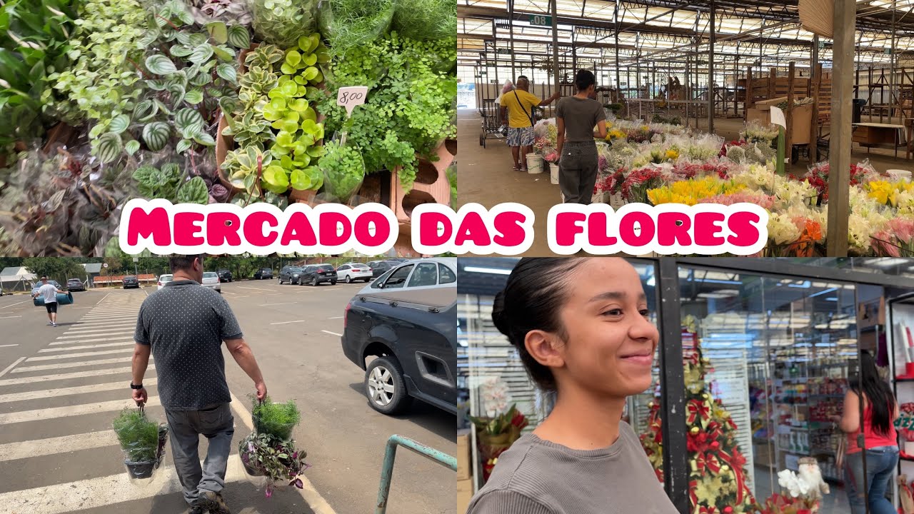 VLOG: CONHECEMOS O MERCADO DAS FLORES NO CEASA CAMPINAS - YouTube