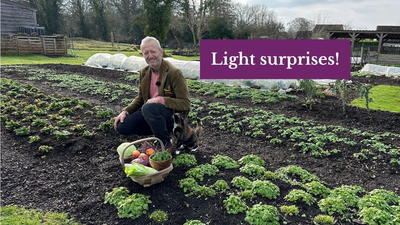 January sunshine for your tour of Homeacres - YouTube