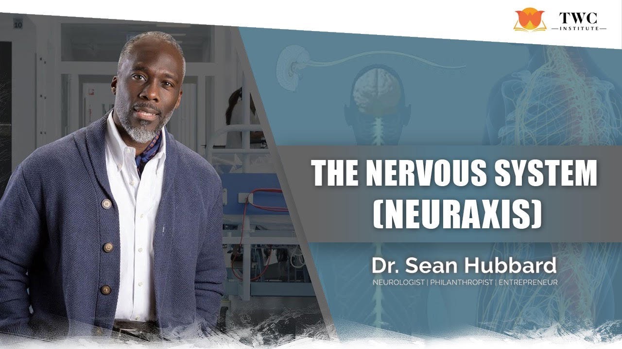 The Neuraxis - YouTube