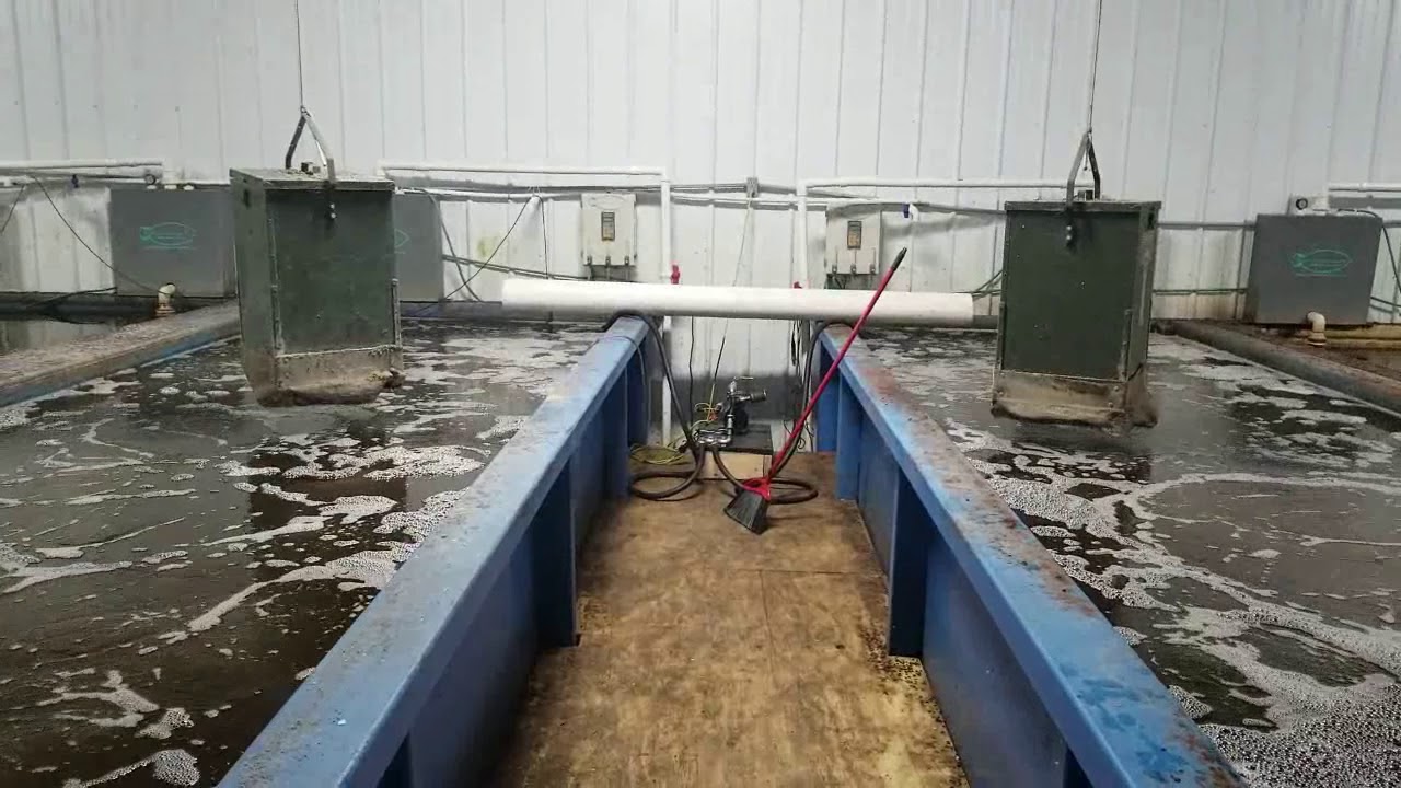 Airprax Micro Bubble Diffusers -- Aquaculture - YouTube