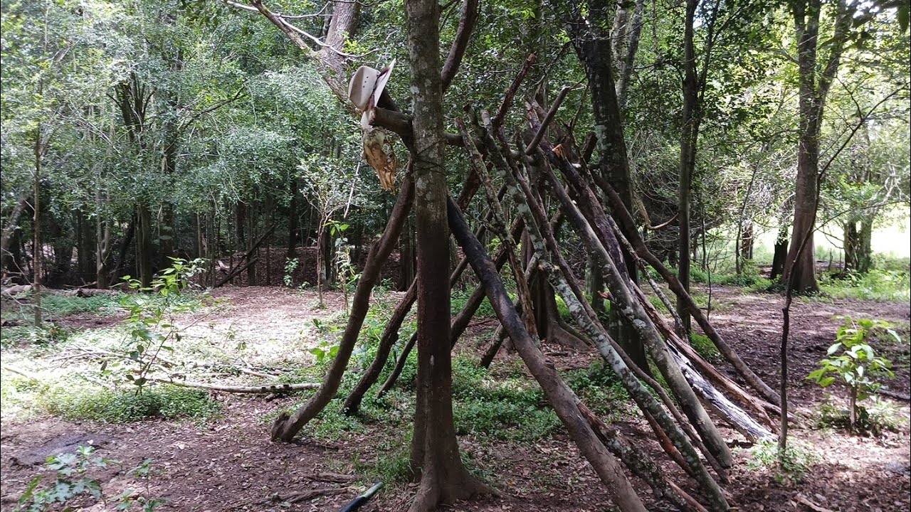 day out bush finding bush tucker - YouTube