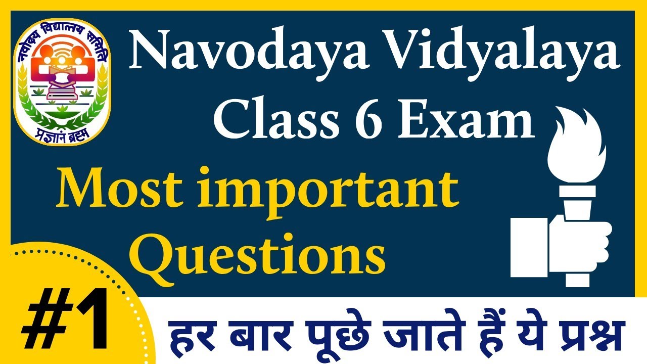 Most Important Questions For Navodaya Vidyalaya Entrance Exam Class 6 most-important-questions-for-navodaya-vidyalaya-entrance-exam-class-6
