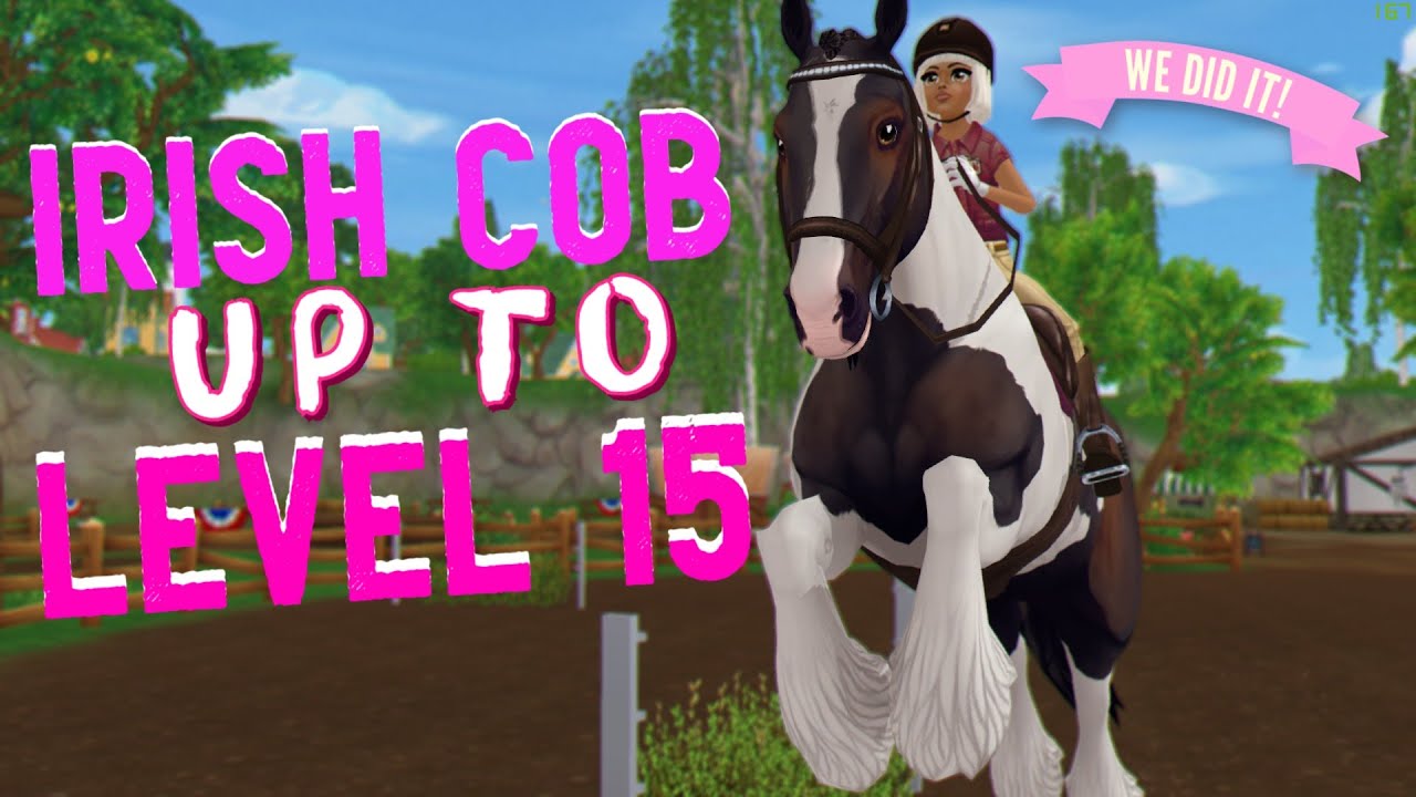 Irish cob SPEED UP to LEVEL 15 | Star Stable Online SATISFYING - YouTube