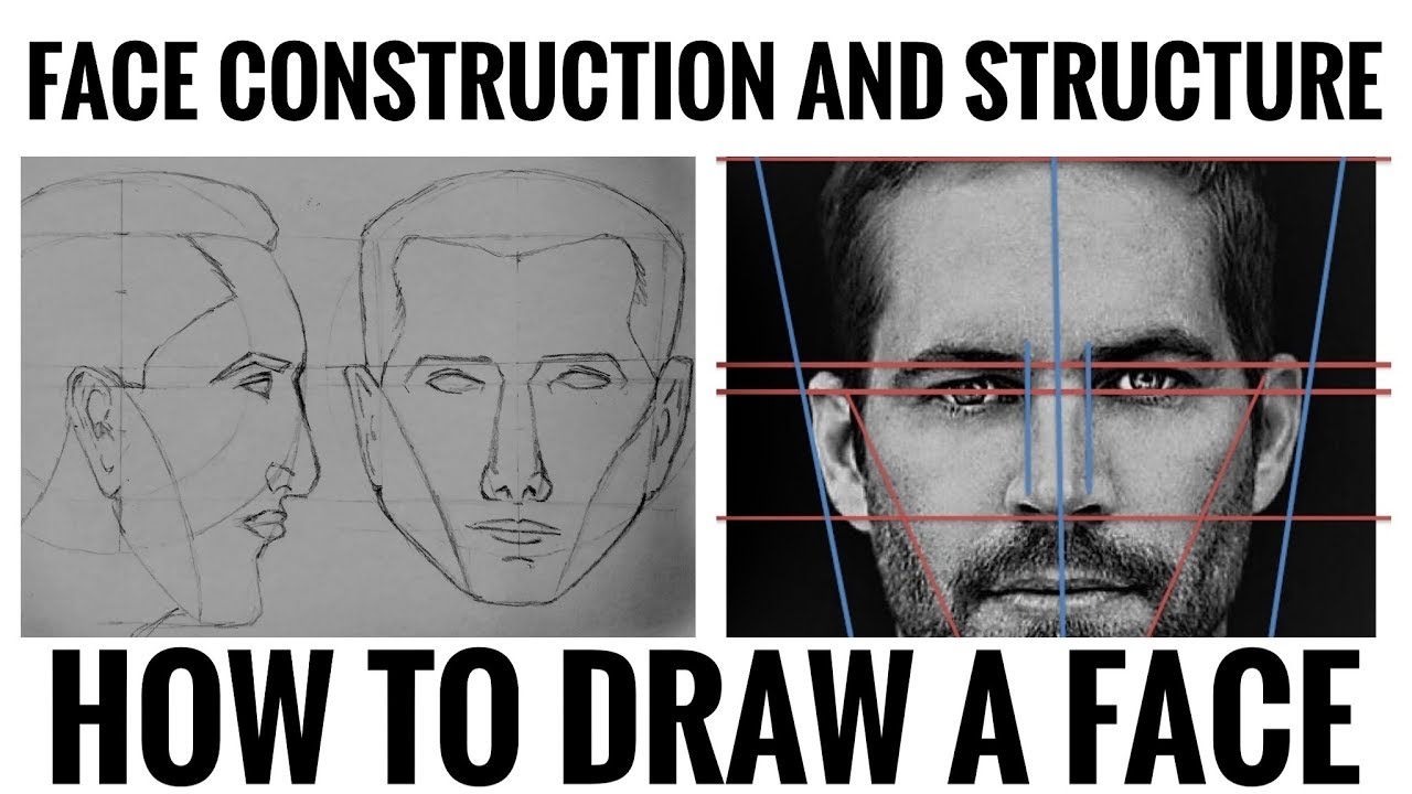Face Construction Drawing | How to Draw a Face | Facial Fetaures ...