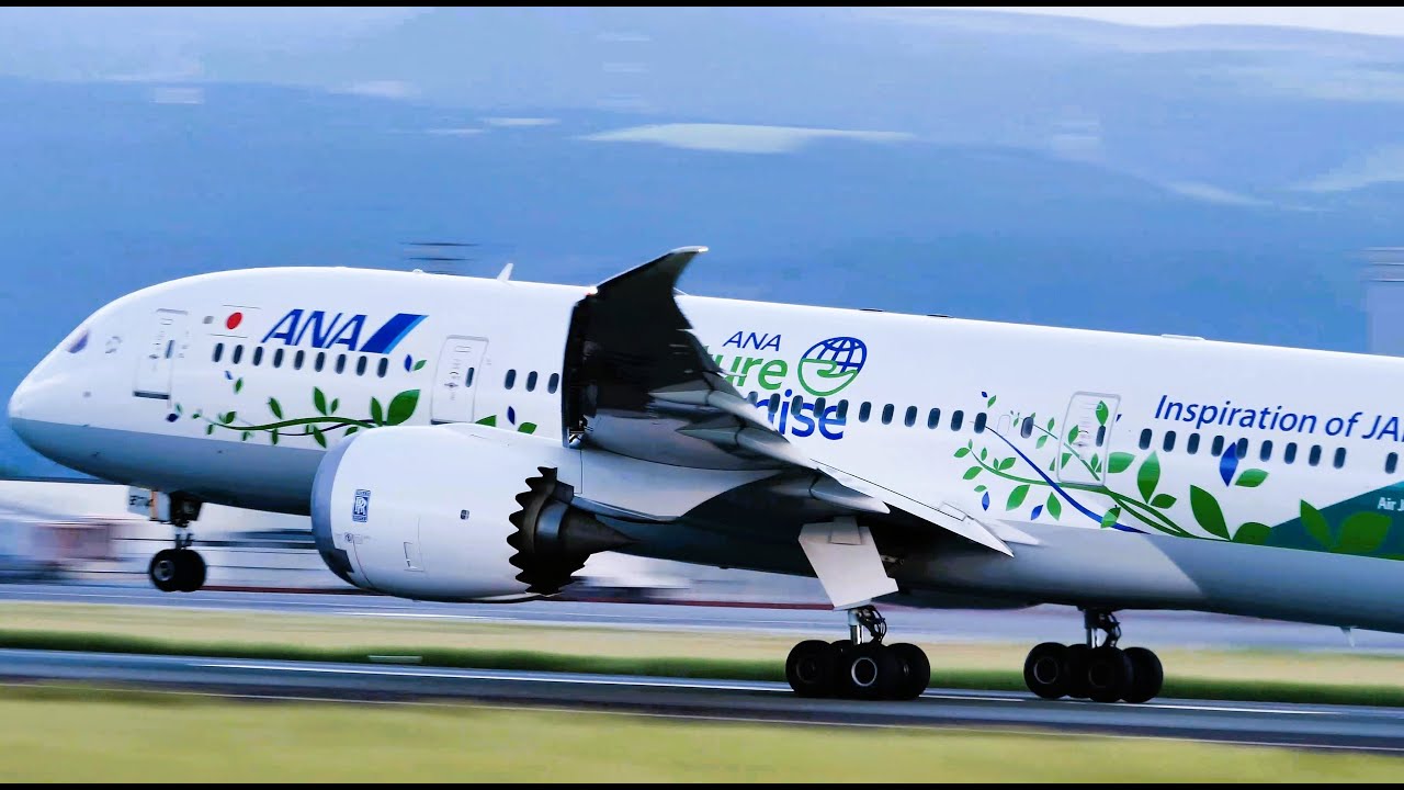 【4K】ANAグリーンジェット 熊本空港離着陸シーン。ANA Green Jet Kumamoto Airport takeoff and ...