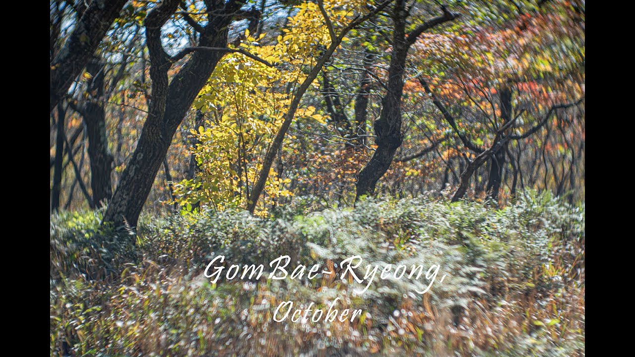 곰배령의 가을 서정 (GomBae-Ryeong's Autumnal Poesy) - YouTube