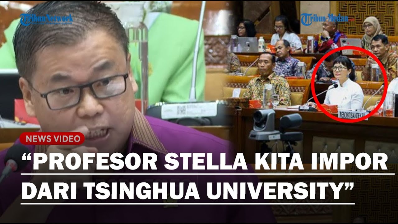 DITERTAWAKAN, Anggota DPR Fraksi PDIP Sebut Profesor Stella Christie ...
