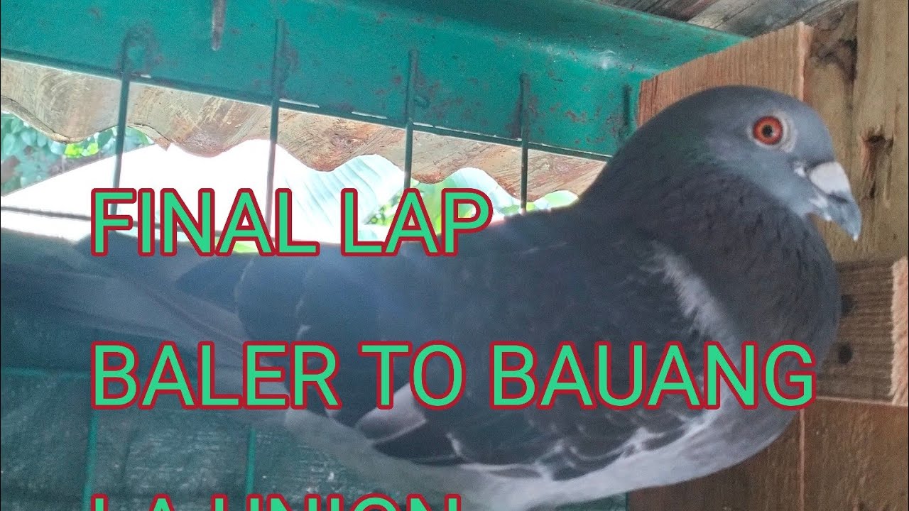 LAST LAP BALER TO LA UNION - YouTube