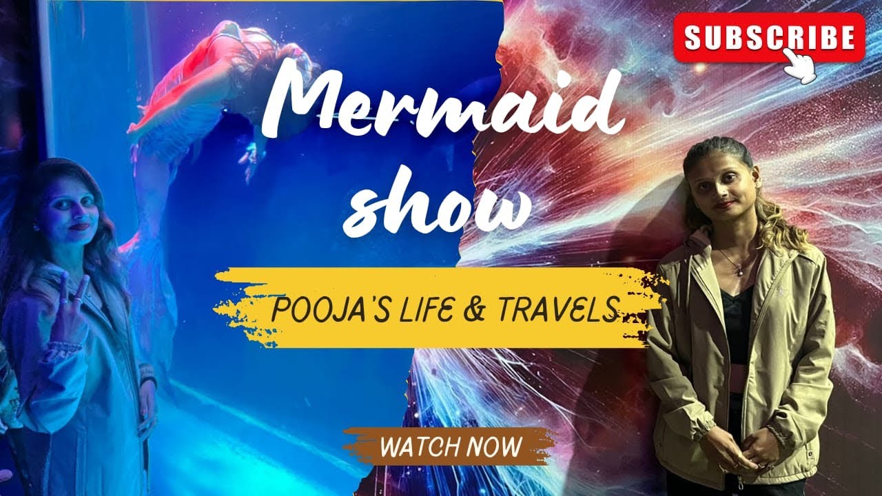 Exploring the Magic of the Mermaid Show & Fish Tunnel Aquarium ...