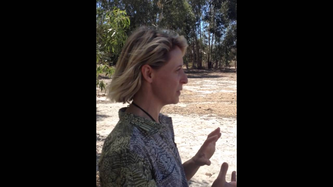 Animal Communicator Laura Bird talks about horses and the heart - YouTube